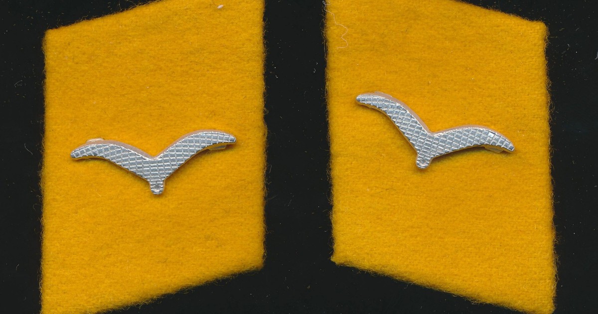 SOLD - Luftwaffe Flight Collar Tabs