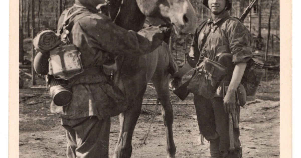 SS Men w/ Horse Postcard